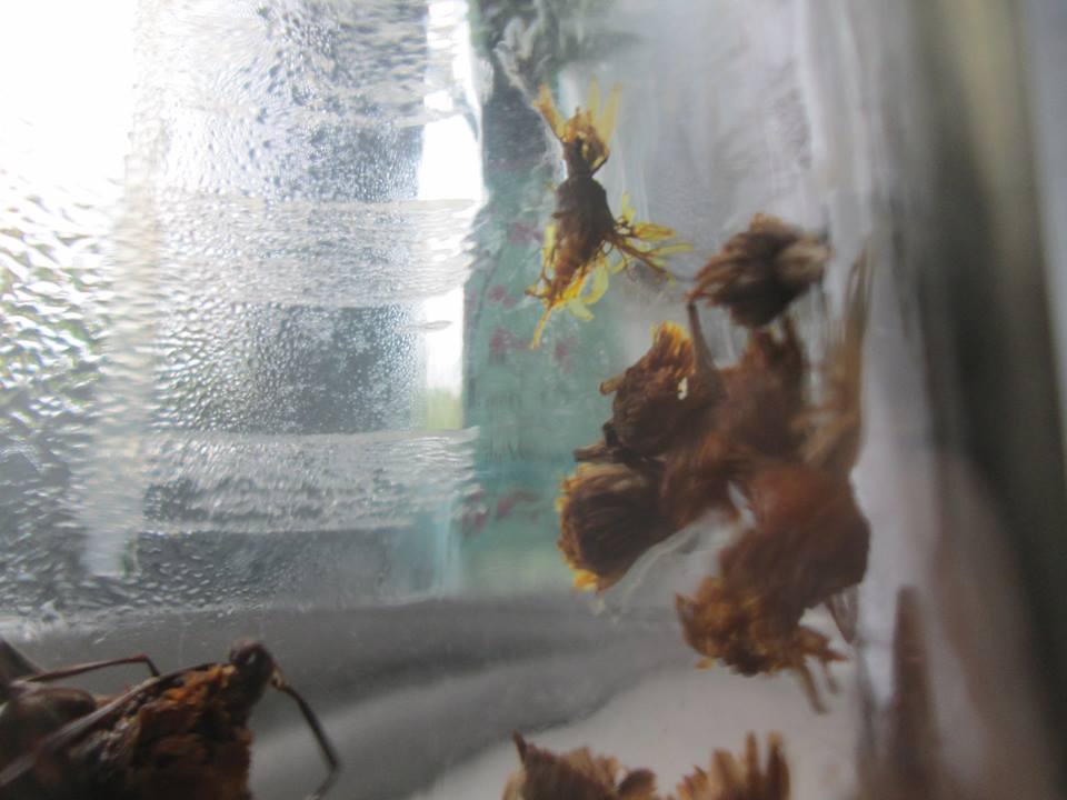 Coming June 1 to Change Seven – Change Seven Magazine